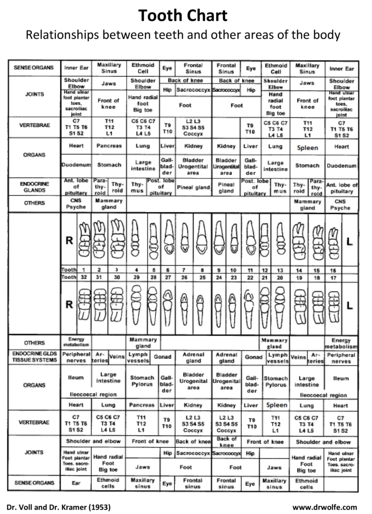 My Dentistry – Dr. Wolfe Energetic Healthcare and Dentistry